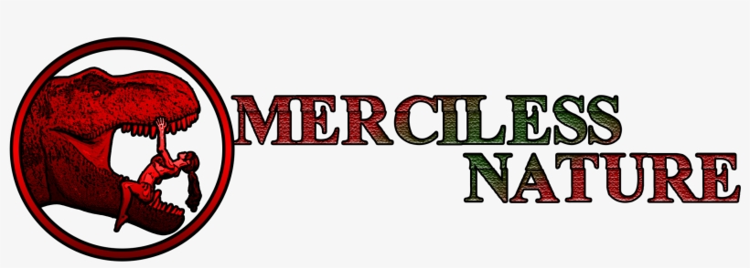 Mercilessnature Mercilessnature - 2268x700 PNG Download - PNGkit