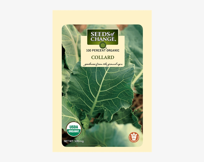 Organic Collard Greens Seeds - Seeds Of Change - 573x573 PNG Download ...