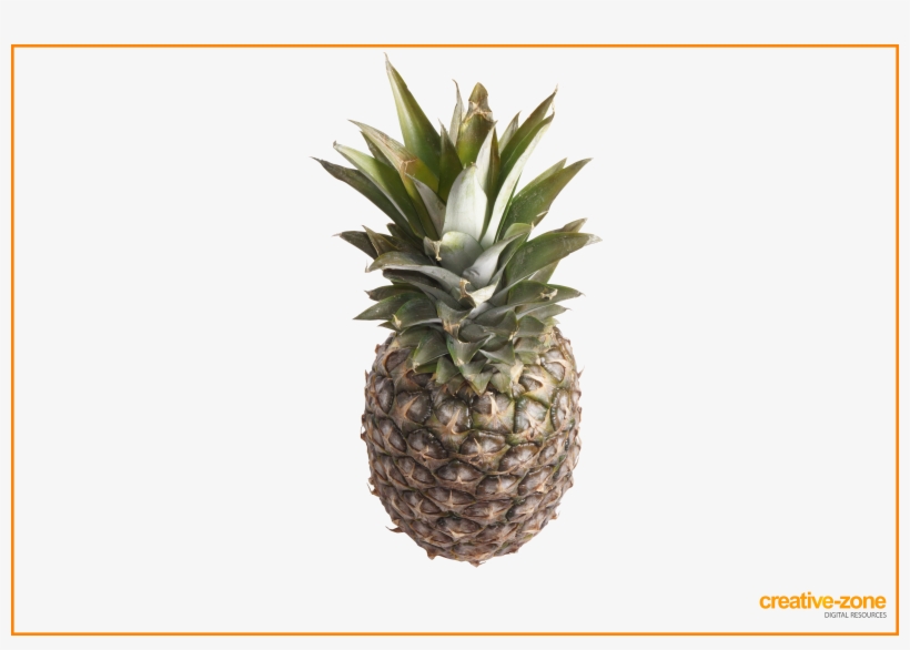Pineapple Transparent - Pineapple - 6030x4020 PNG Download - PNGkit