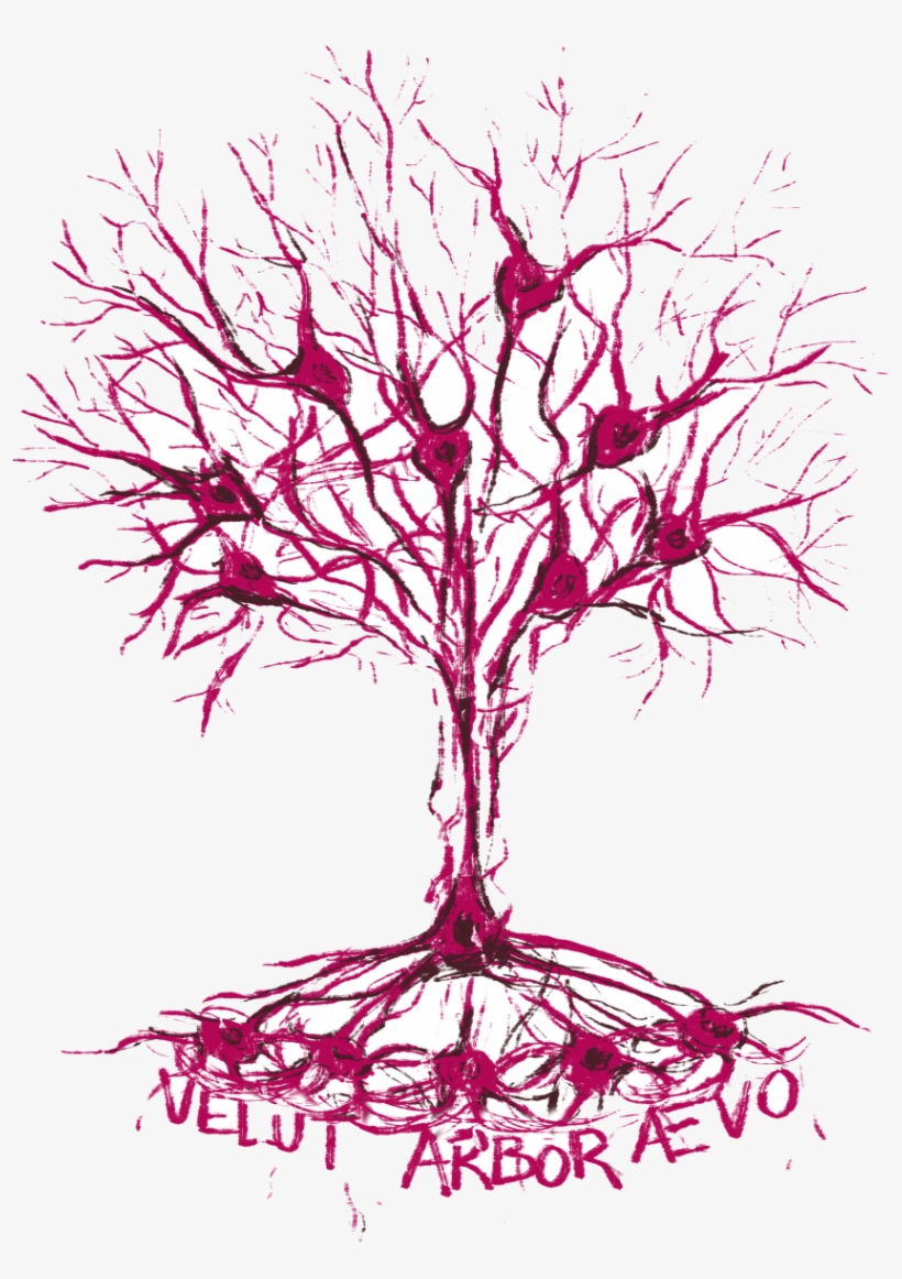 Getting The Neurons Firing - Illustration - 940x1216 PNG Download - PNGkit