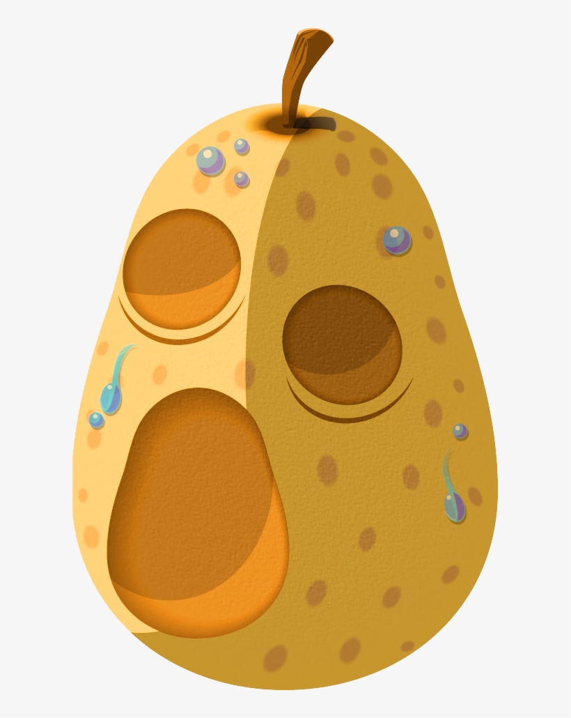 Hyoi-pear - Fruit Miam Miam Wind Waker - 611x950 PNG Download - PNGkit