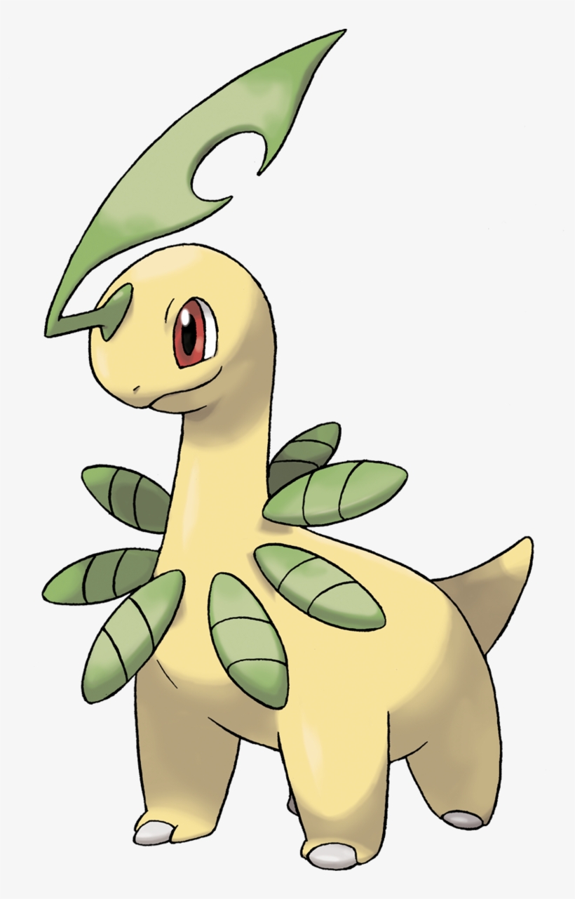 Bayleef - Ash All Pokemon Single - 1200x1200 PNG Download - PNGkit
