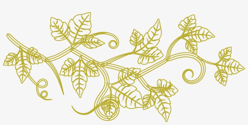 Bar Menu - Line Art - 1302x596 PNG Download - PNGkit