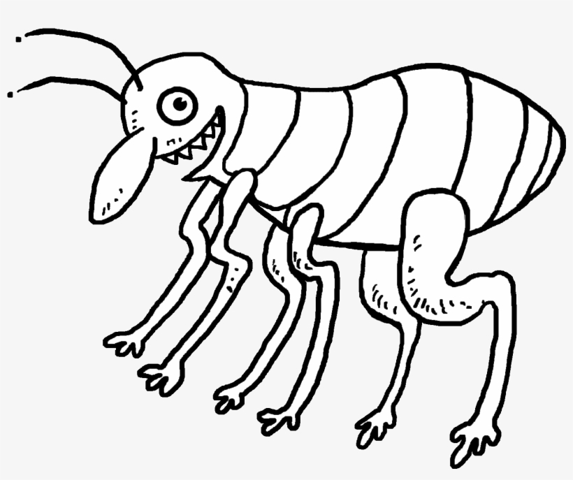 Flea Drawing At Getdrawings - Drawing Of A Flea Easy - 1654x1349 PNG ...