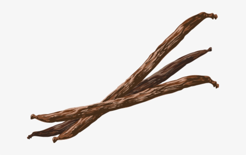 Vanilla Bean Clipart - Vanilla Bean Png - 640x436 PNG Download - PNGkit