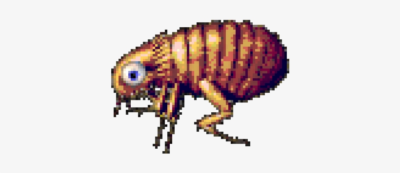 Download Transparent Flea - Wiki - PNGkit