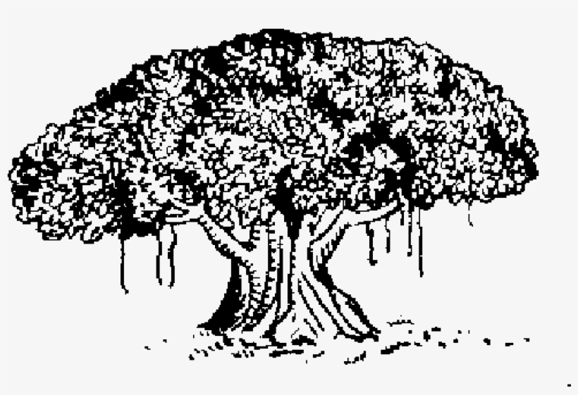 Download Transparent Indian Election Symbol Tree - Samajwadi Janata ...