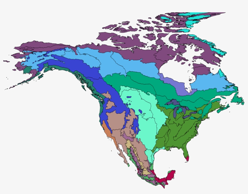 Treeline Map - 878x626 PNG Download - PNGkit