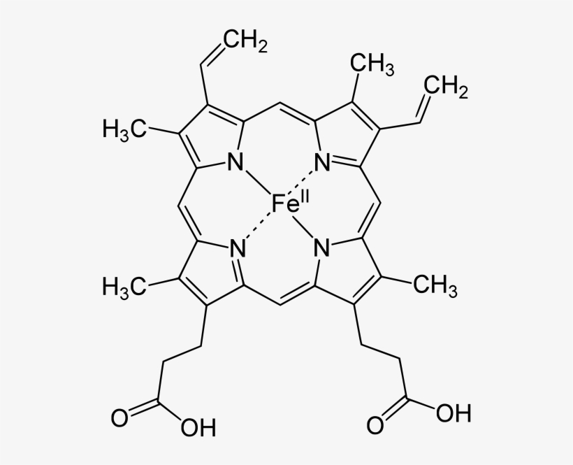 Heme Structure - Heme B - 543x600 PNG Download - PNGkit