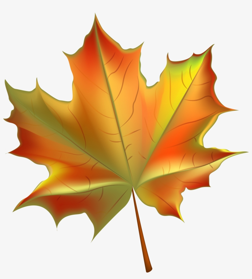 Beautiful Autumn Leaf Transparent Png Clip Art Image - Autumn Leaf ...