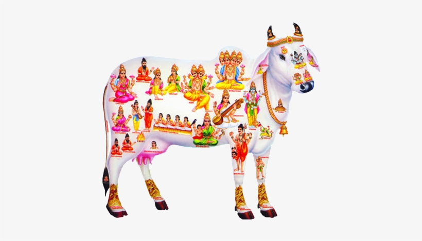 Indian Cow Png Download - Kamadhenu - 450x400 PNG Download - PNGkit