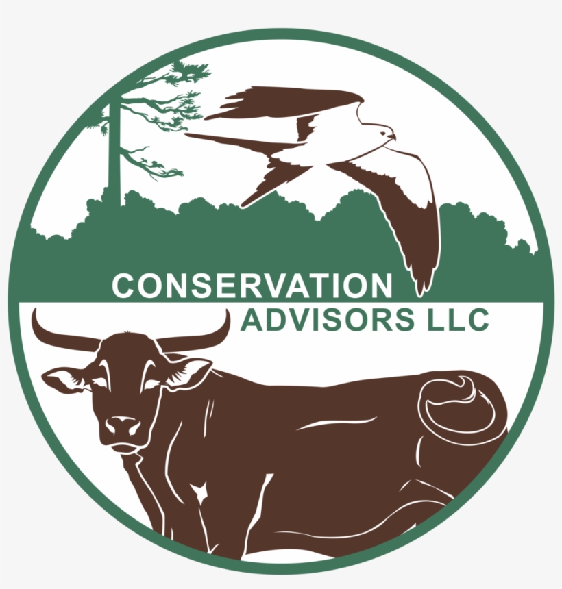 Keithlogo - Portable Network Graphics - 1000x990 PNG Download - PNGkit