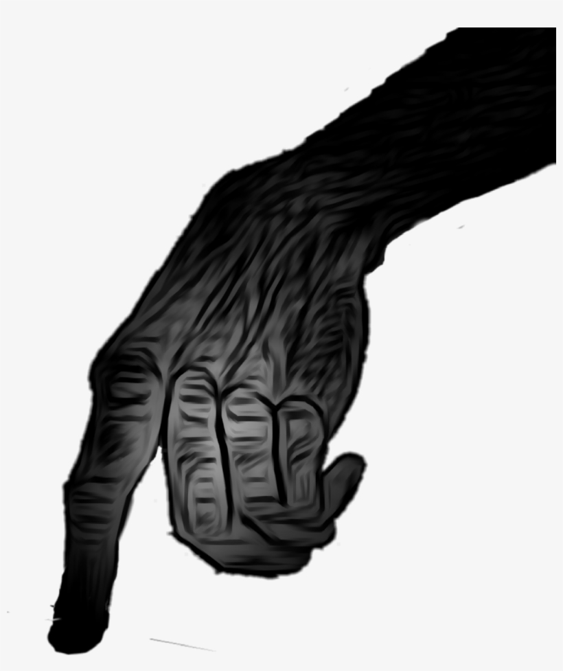 Zombie Hand Creepy Scary Touch Finger - Hand - 1024x1171 PNG Download ...