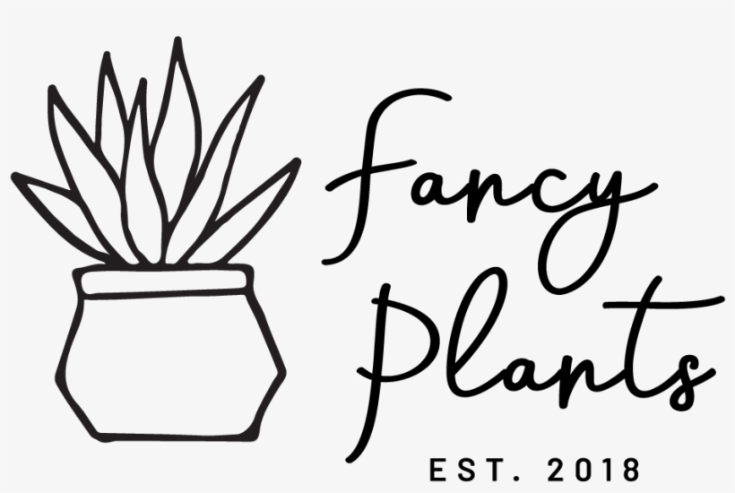 Founded By Suni Johnson, Fancy Plants Is A Small Town - Calligraphy ...