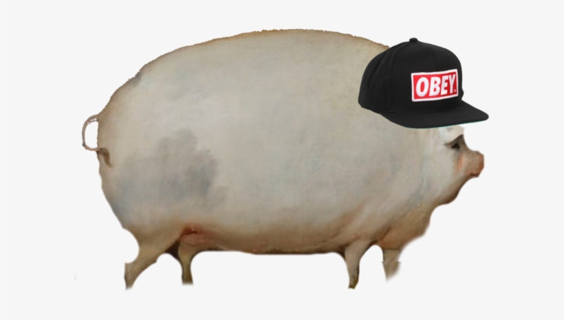 Newest Uploads - Oats Pigs Png - 756x500 PNG Download - PNGkit