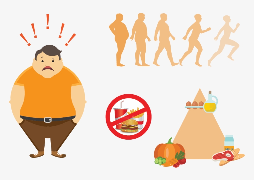 Fat To Fit Vector - 842x595 PNG Download - PNGkit