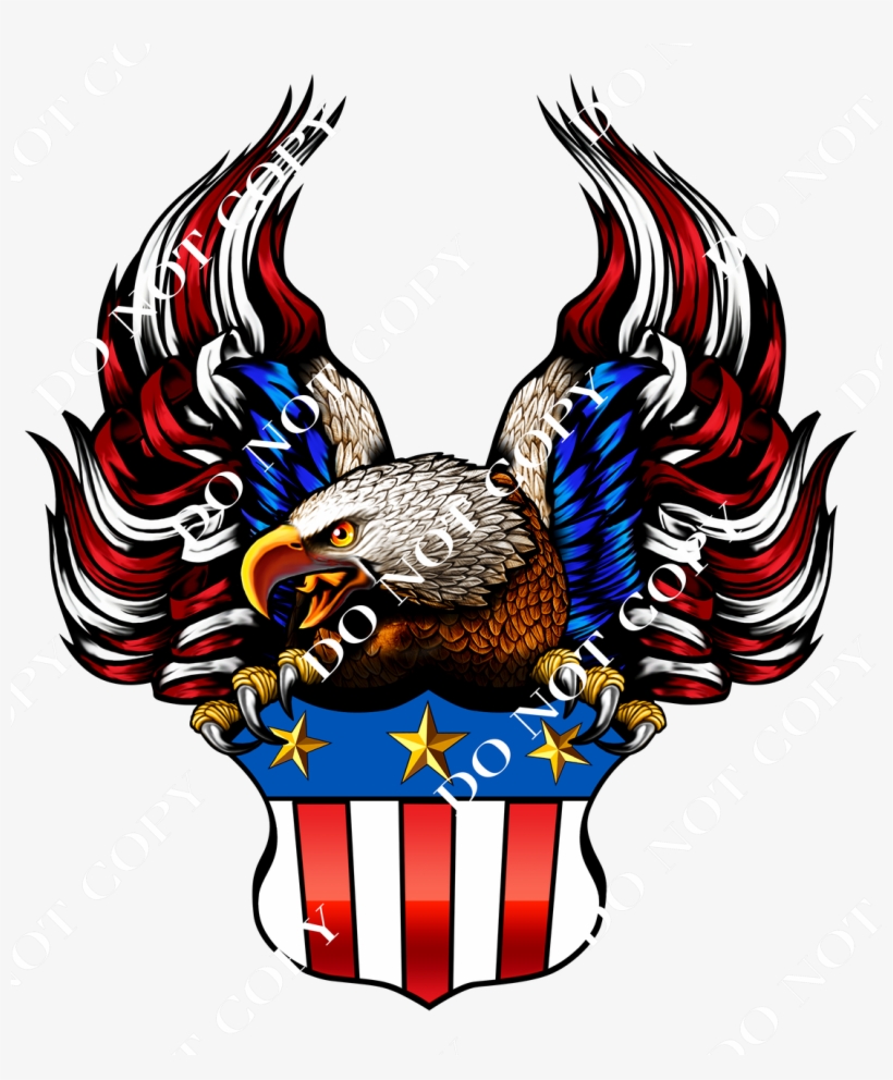 Eagle And Shield - Eagle With American Flag Png - 1102x1280 PNG ...