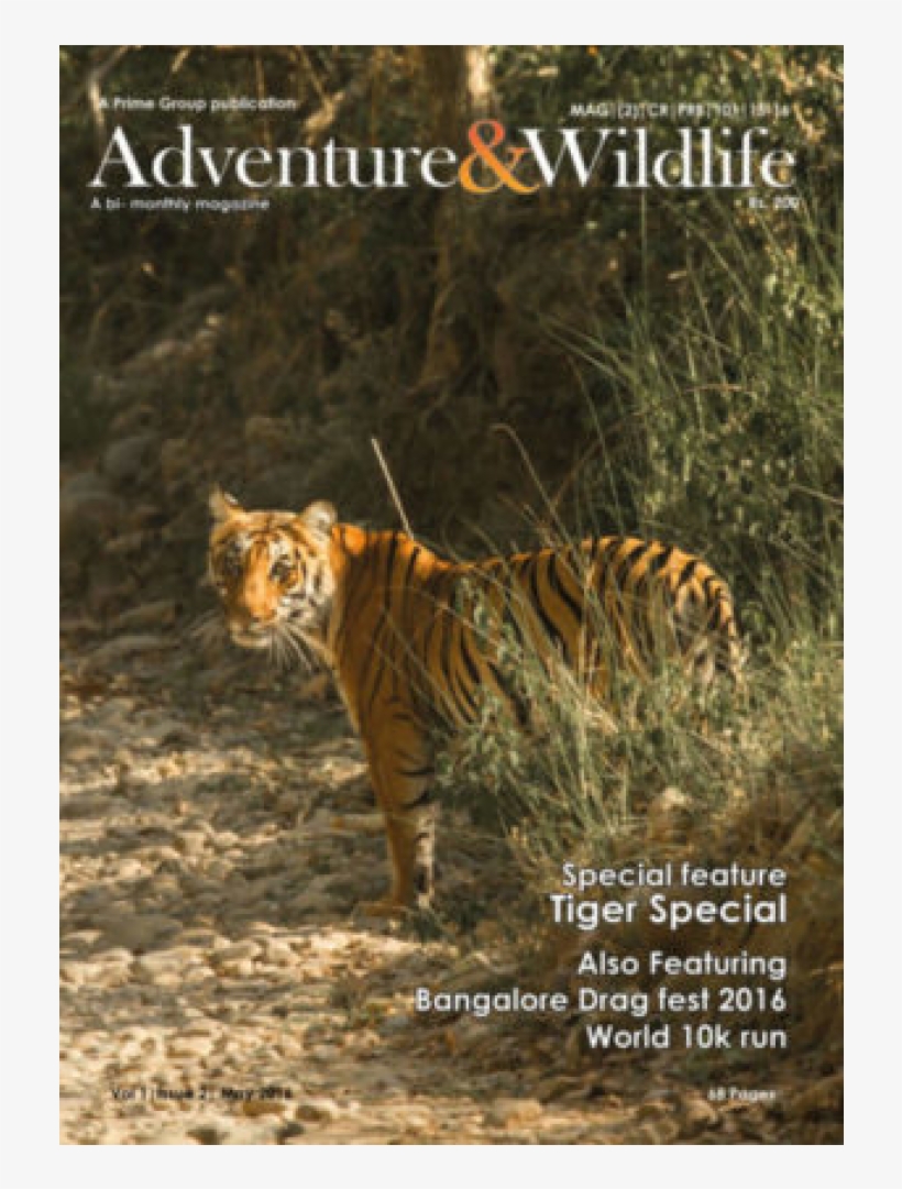 Magazine Cover Pictures - Bengal Tiger - 1280x1000 PNG Download - PNGkit