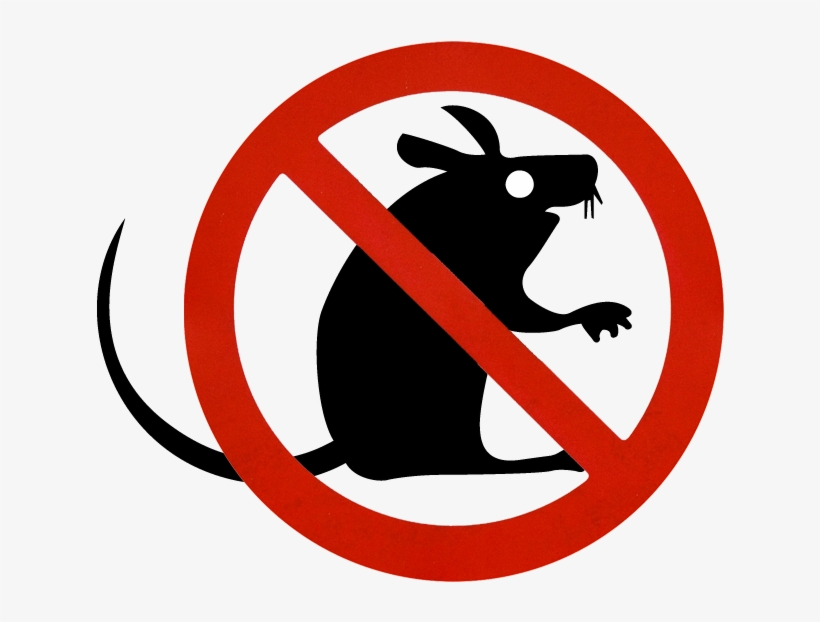 No-mouse - Poison Rat Sign - 703x597 PNG Download - PNGkit
