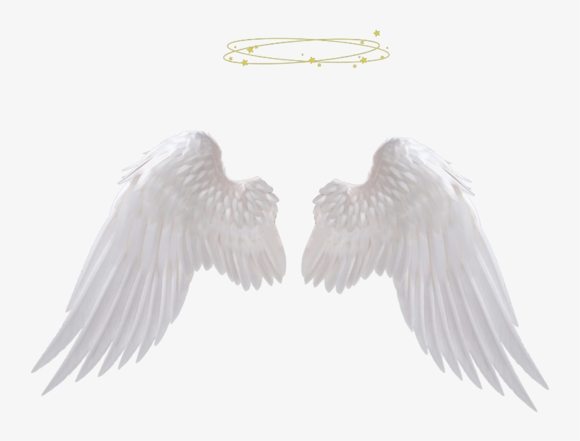 Anglewings Sticker - Transparent Angel Wings Png - 1024x1024 PNG ...