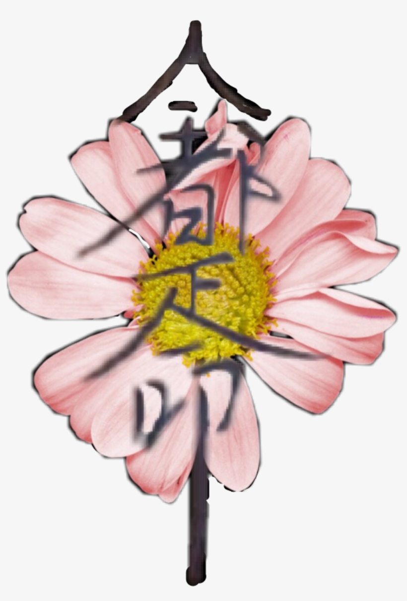 Download Transparent Japanese Sticker - Daisy - PNGkit