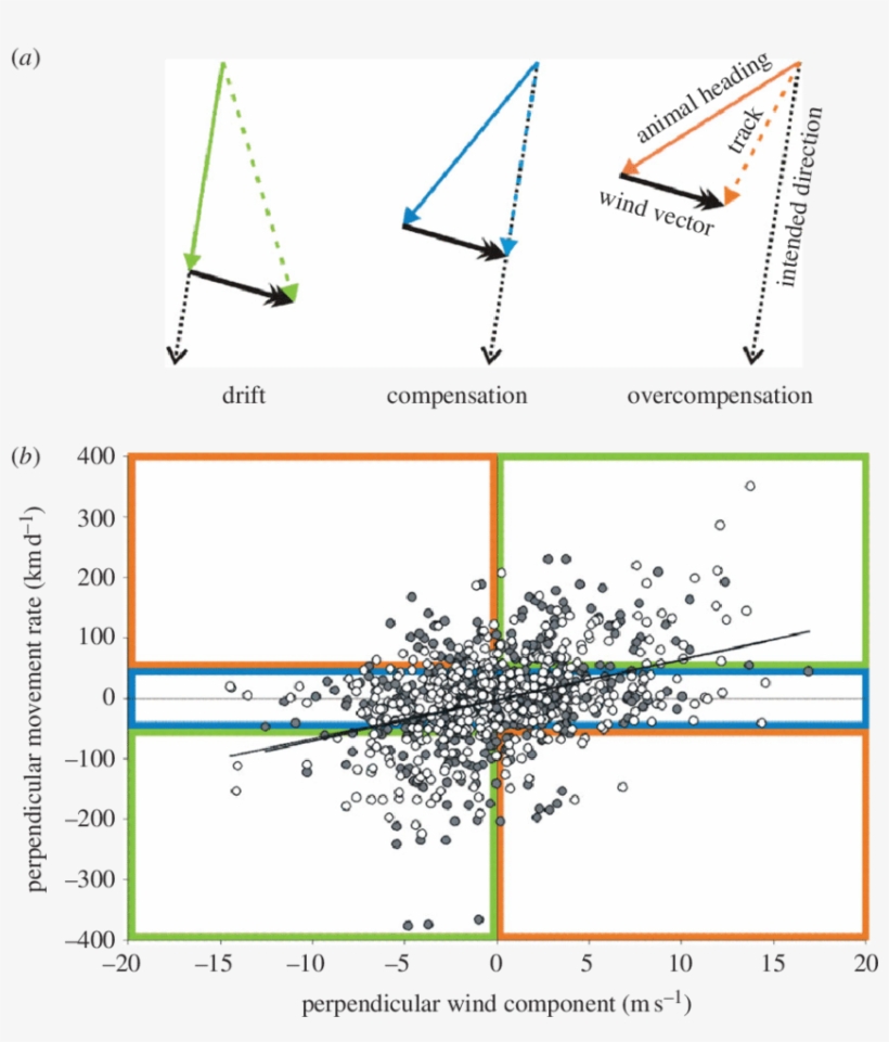 Triangles Of Velocities Illustrating The Speed And - Diagram - 850x955 ...