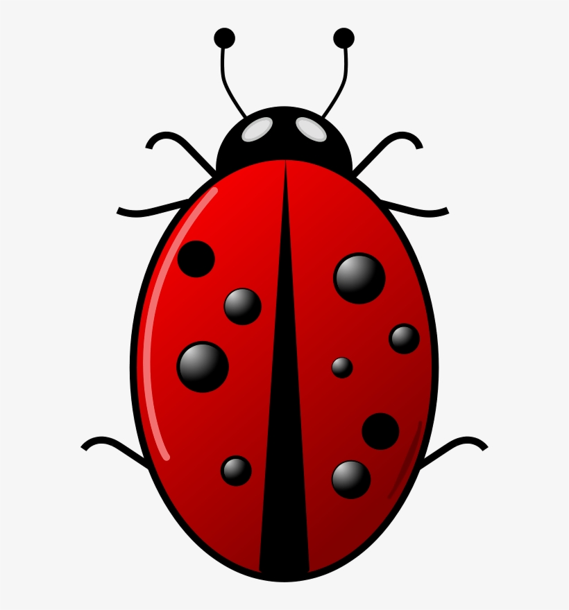 Download Transparent Ladybug Clipart Png - PNGkit