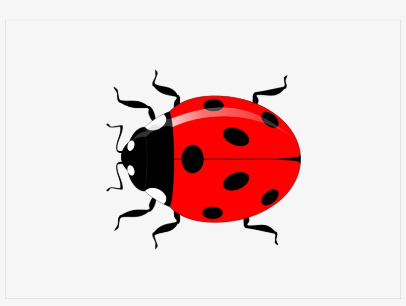 Red Ladybug Png Hd - Clip Art - 960x678 PNG Download - PNGkit