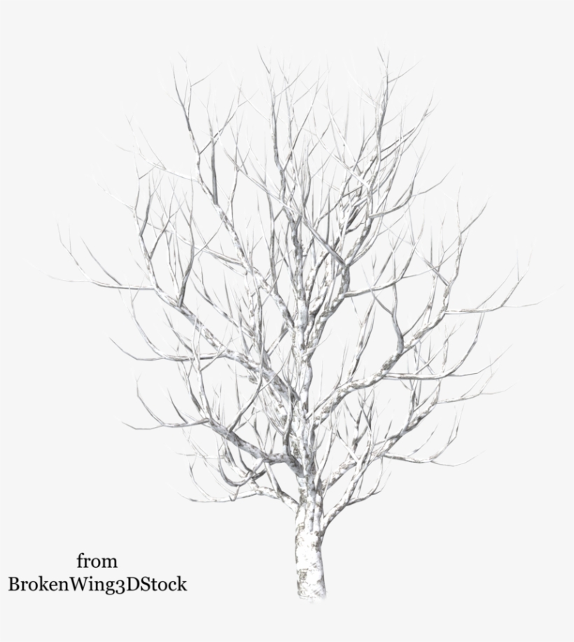 Tree In Winter Drawing At Getdrawings - Winter Snow Tree Png - 900x900 ...