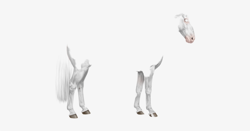 Equiverse Smoky Cream Dun - 600x450 PNG Download - PNGkit