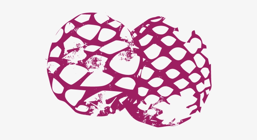 Pinas - 531x367 PNG Download - PNGkit