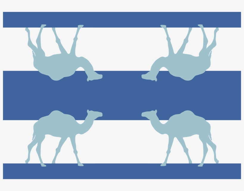 Dromedary - 800x562 PNG Download - PNGkit