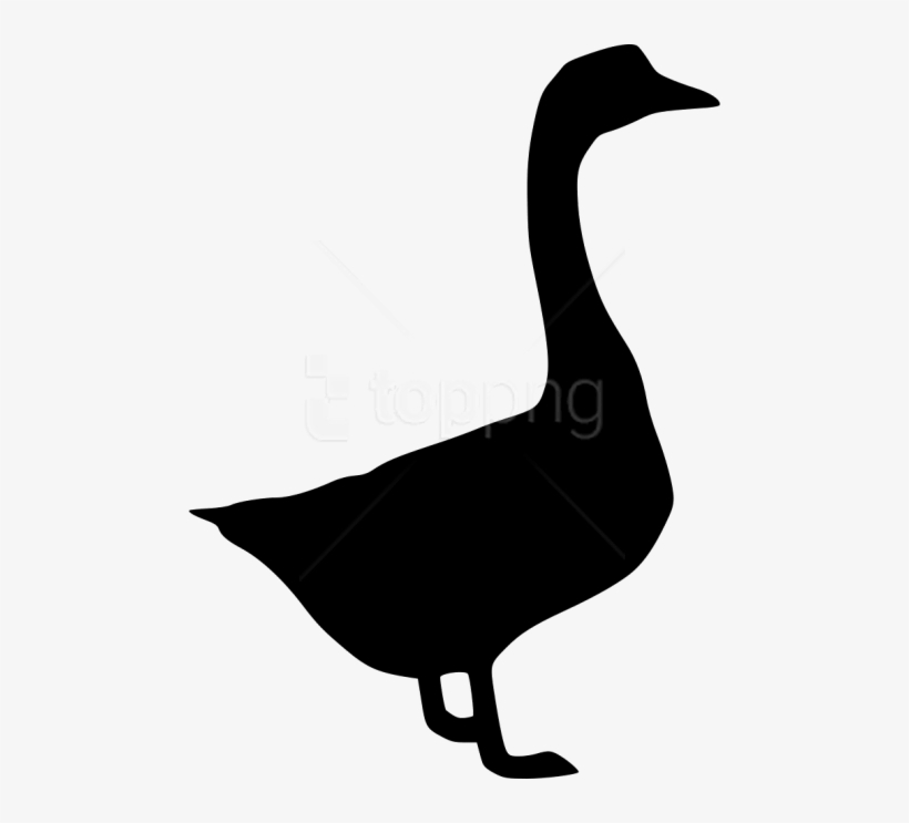 Free Png Goose Png Images Transparent - Goose Icon Free - 480x663 PNG ...