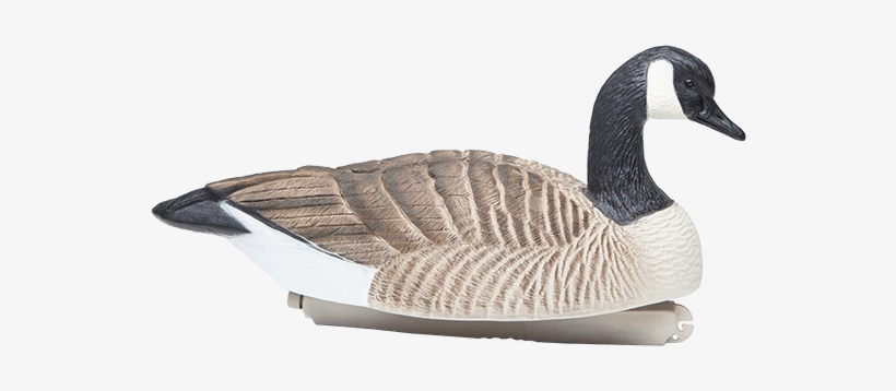 Final Approach 6 Goose Floating Decoys Model - Canada Goose - 600x600 ...