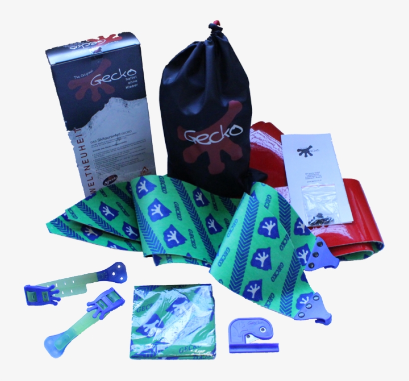 Gecko Gecko Standard Fell - Gecko Ski Skins - 725x684 PNG Download - PNGkit