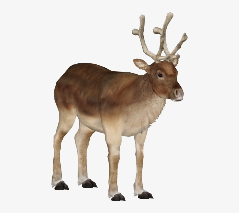 Caribou Png - Reindeer - 649x649 PNG Download - PNGkit