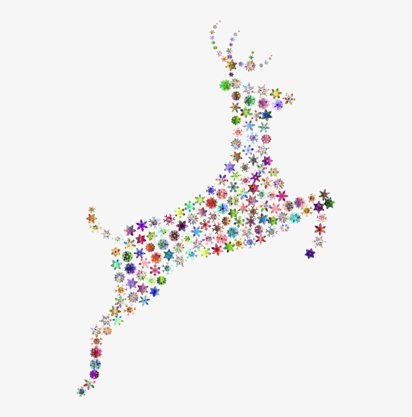 All Photo Png Clipart - Illustration - 515x750 PNG Download - PNGkit