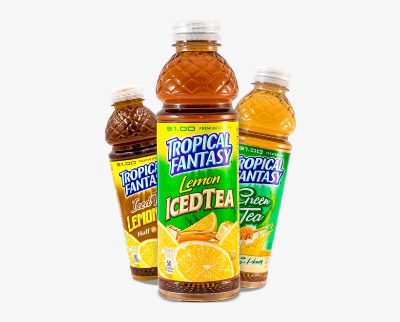 Kombucha - 492x651 PNG Download - PNGkit