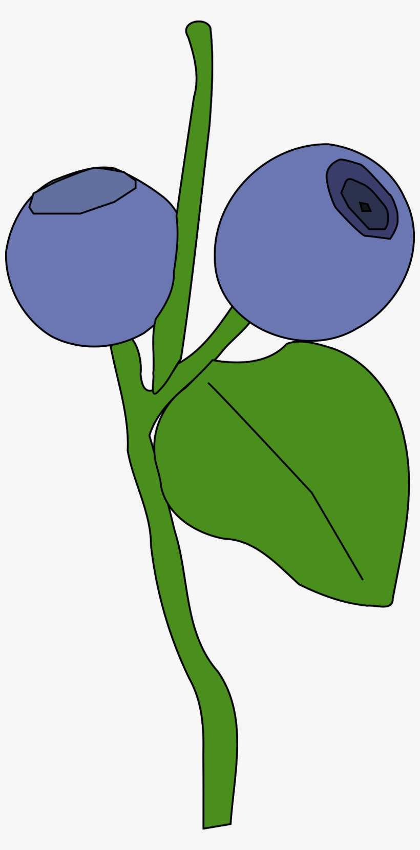 Berry Clip Art - 1217x2400 PNG Download - PNGkit