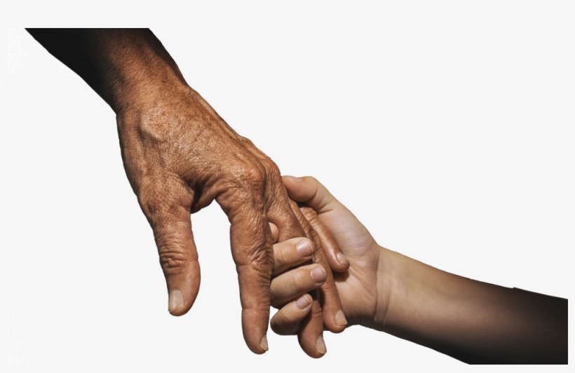 Human - 1000x600 PNG Download - PNGkit