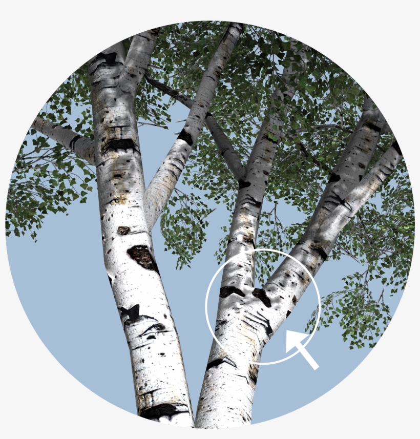 Weld - Seam Tree - 1967x1846 PNG Download - PNGkit