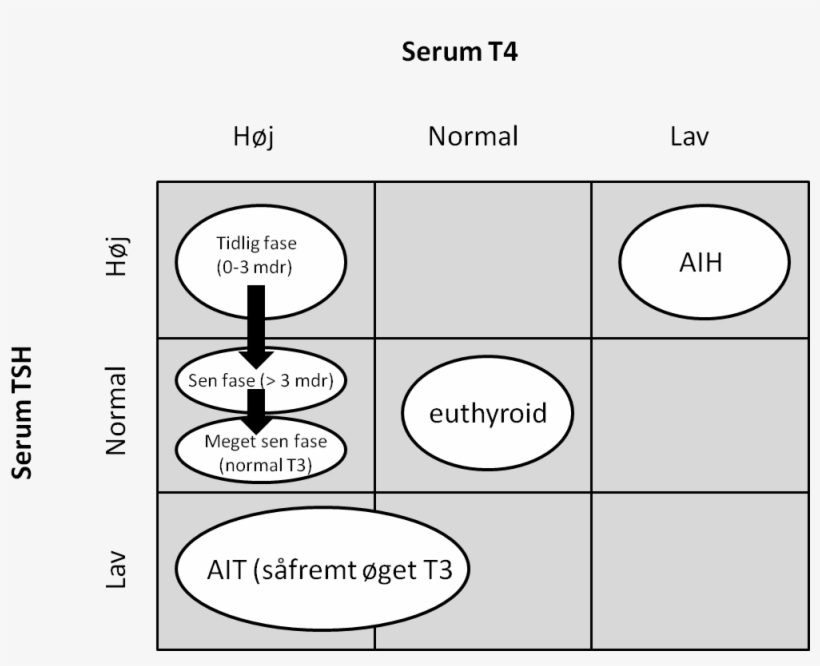 Serum T4 - Cartoon - 1024x796 PNG Download - PNGkit