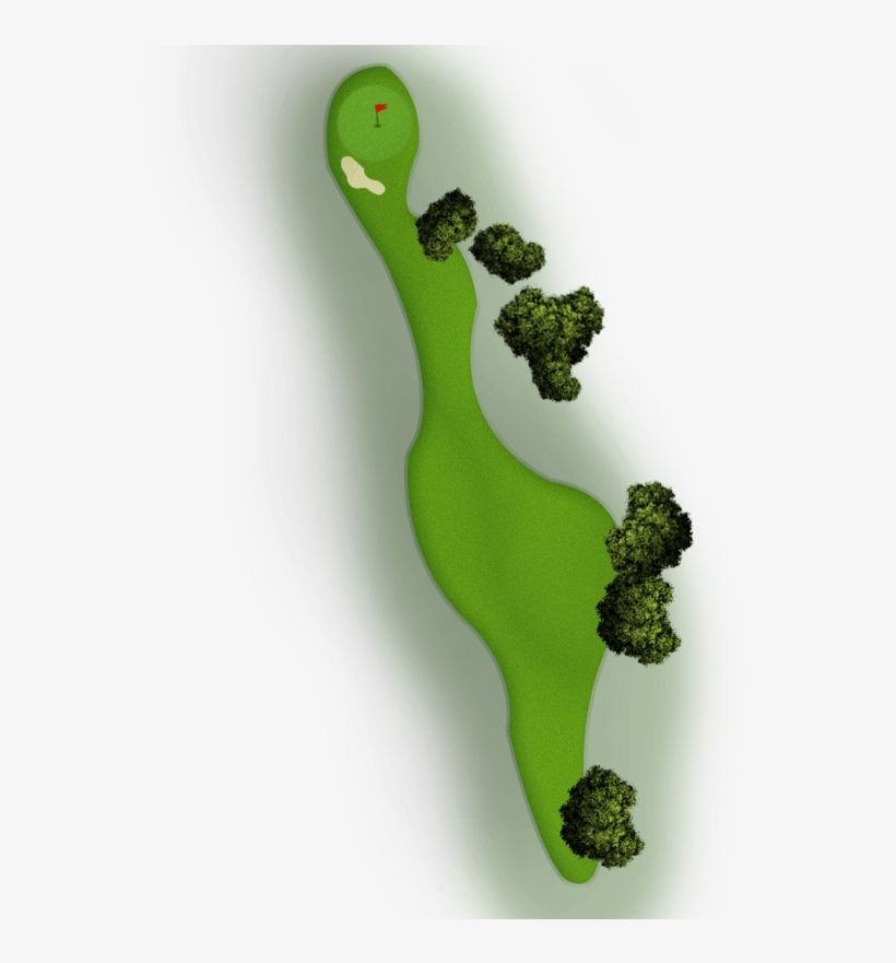 Map-10 - Moss - 600x800 PNG Download - PNGkit