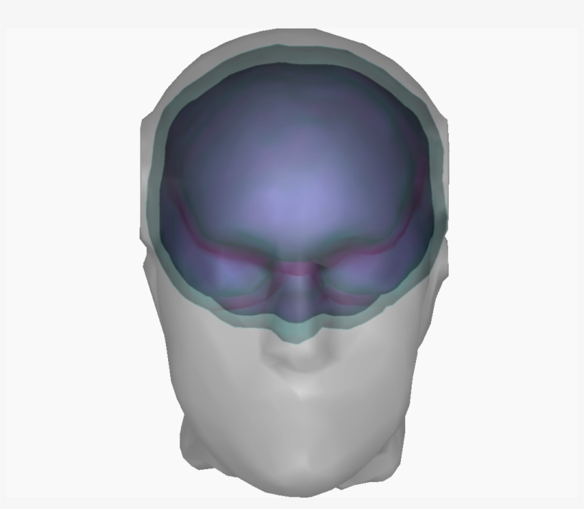External Surface Of The Cortex Example With Three Surfaces - 1062x875 ...