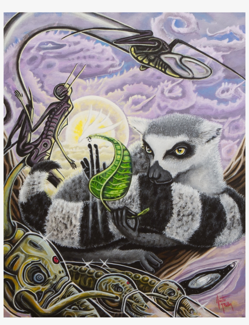 Indri - 1800x1800 PNG Download - PNGkit