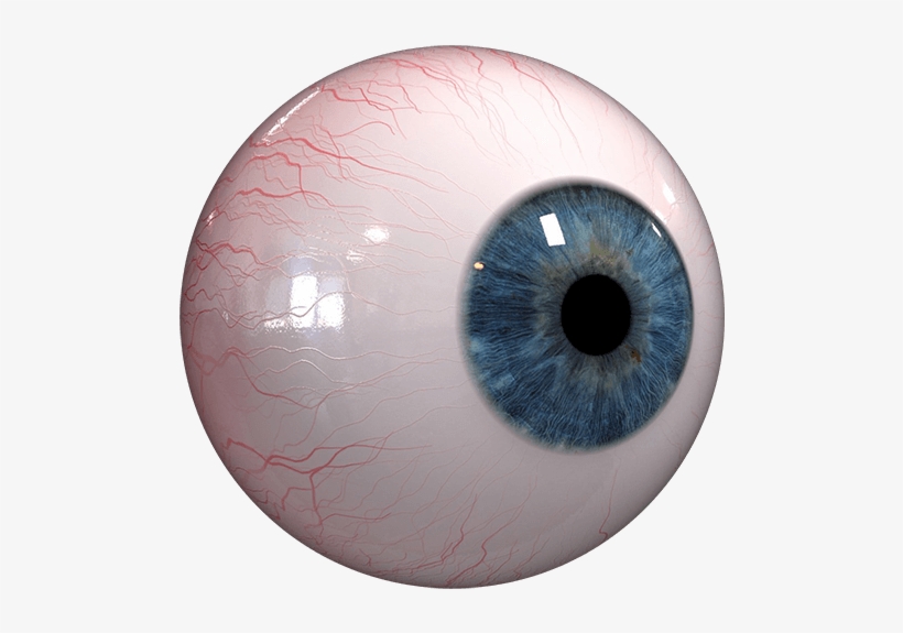 Nj ™ Creepy Eyes, Creepy Halloween, Iris, Lenses, Pintura - Circle ...
