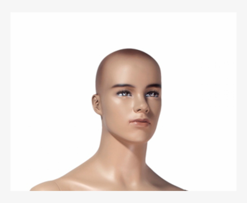 Buzz Cut - 750x750 PNG Download - PNGkit