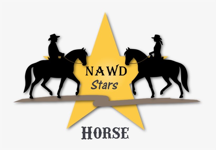 Stallion - 730x488 PNG Download - PNGkit