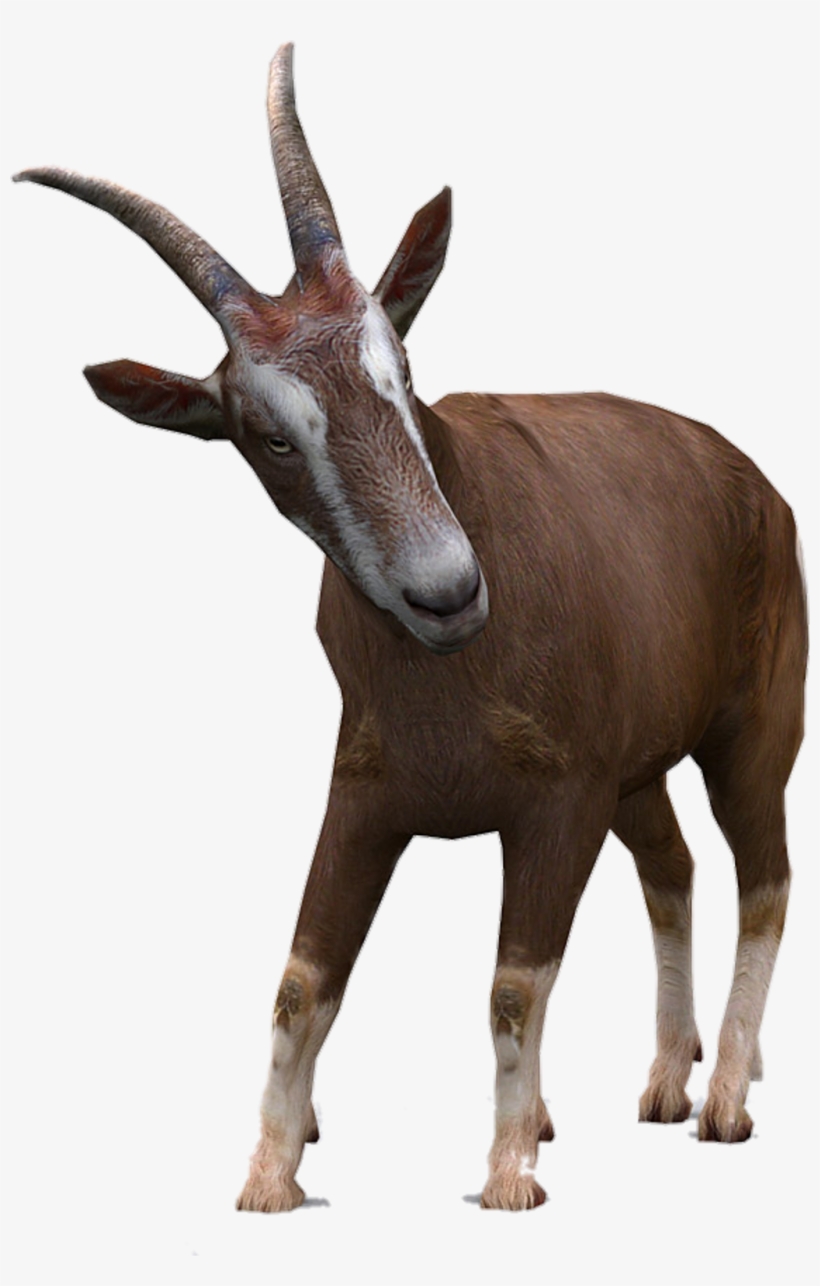 Goat Sticker - 1024x1557 PNG Download - PNGkit