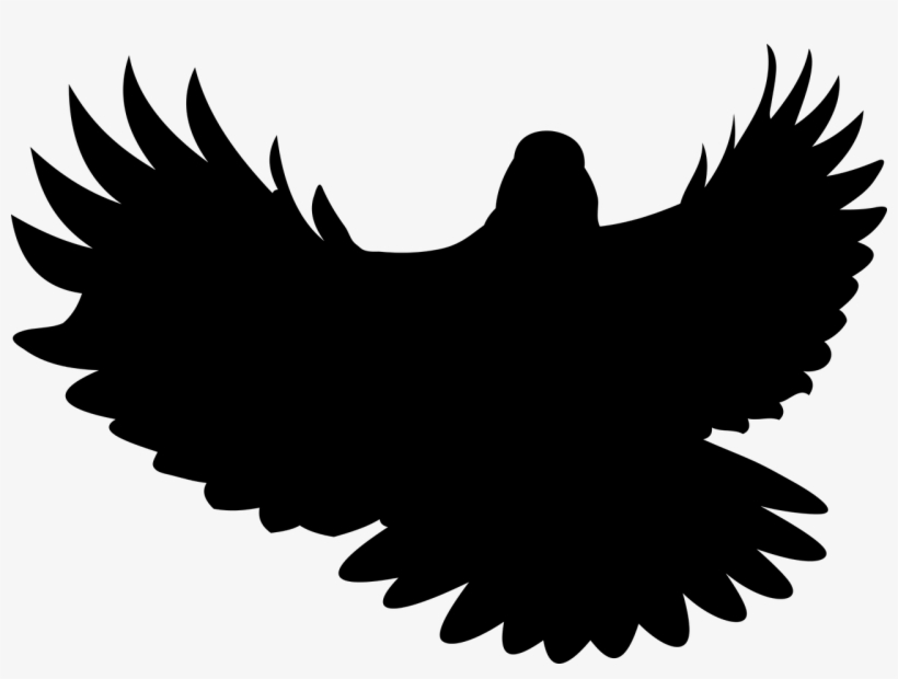 Bird Wings Pen - Illustration - 1280x906 PNG Download - PNGkit